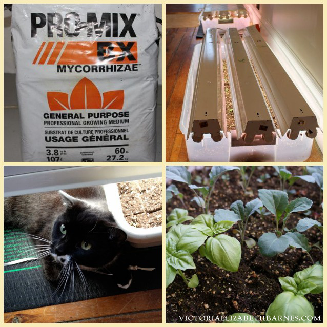 Best way to start seeds indoors–video tutorial for making soil blocks.